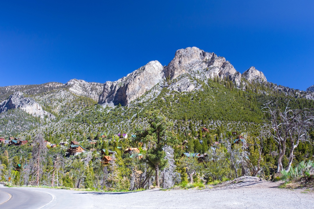 Get Away From the Heat - Plan a Getaway to Mt. Charleston